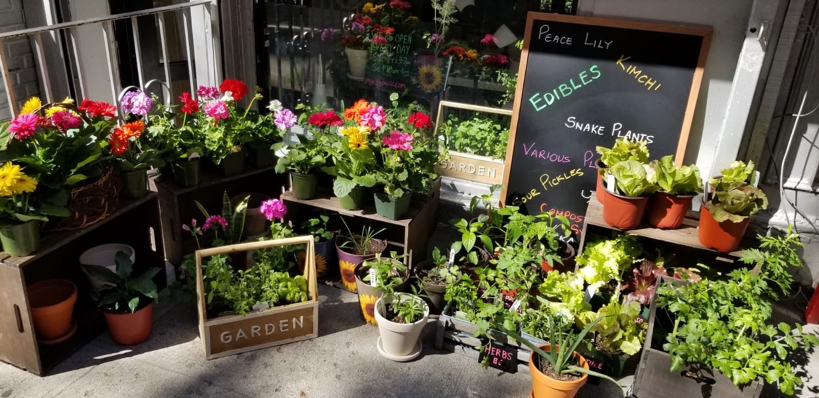 12 Best Manhattan Plant Shops To Turn Your Home Into A Jungle