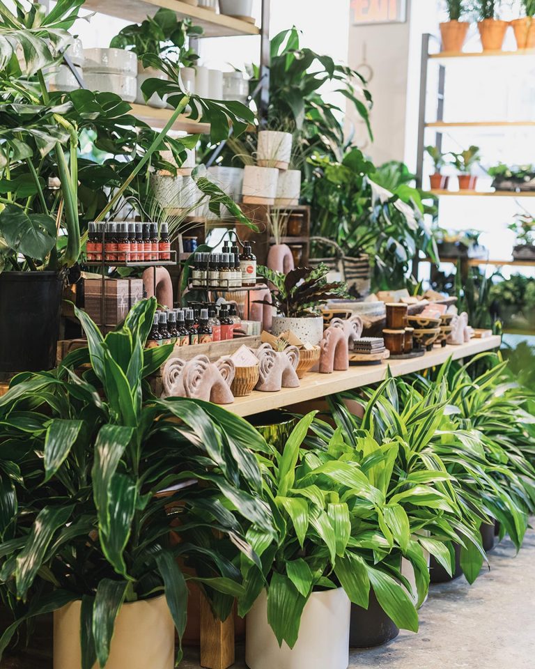 15 Best Manhattan Plant Shops To Turn Your Home Into A Jungle - Secret NYC