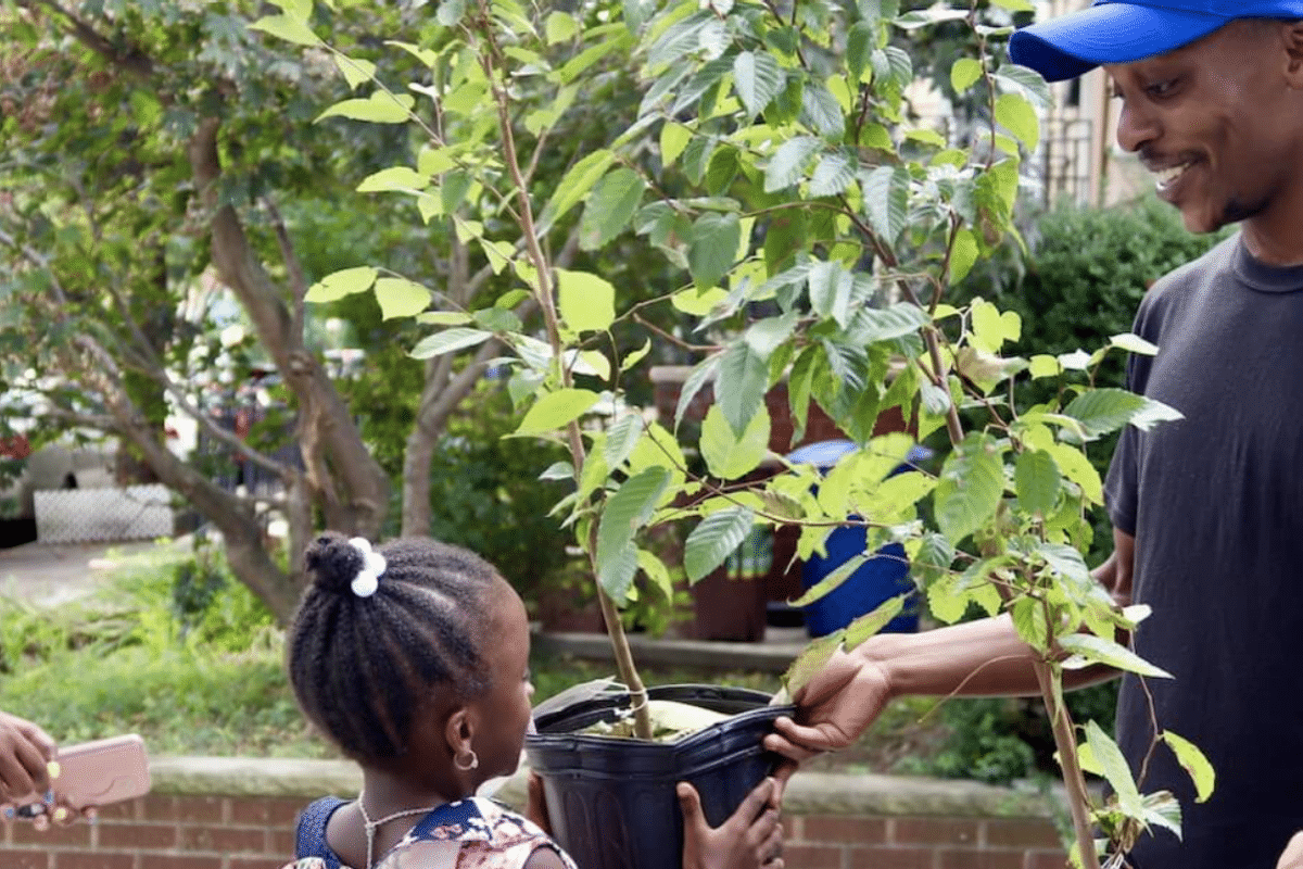 This Organization Is Giving Away 2K Free Trees To NYers This Spring ...