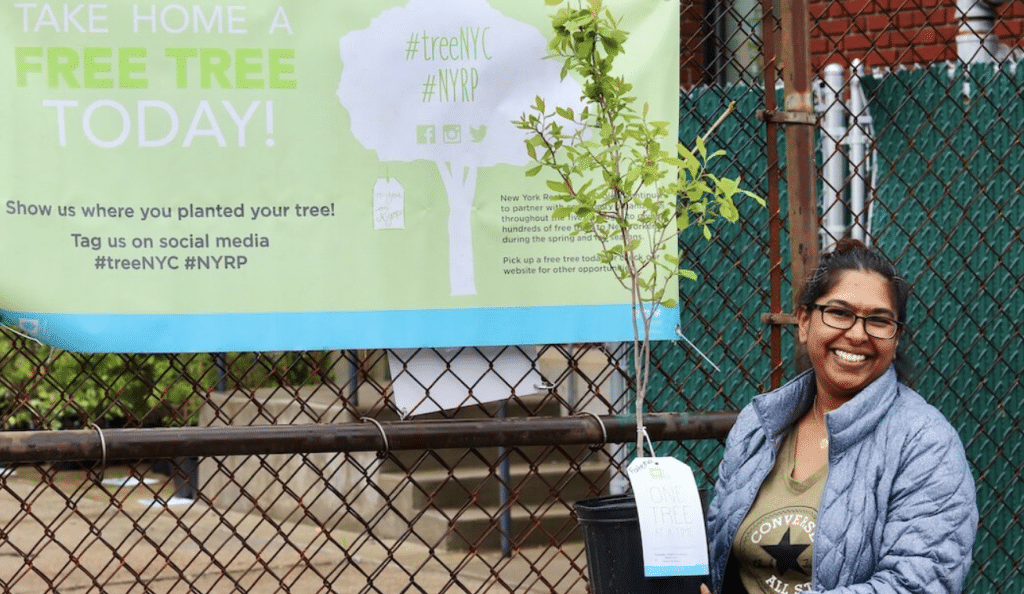 This Organization Is Giving Away Free Trees To NYers This Spring