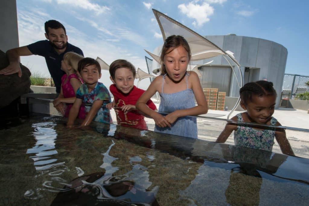 10 Best Aquariums, Zoos And Fish Shops In NYC - Secret NYC