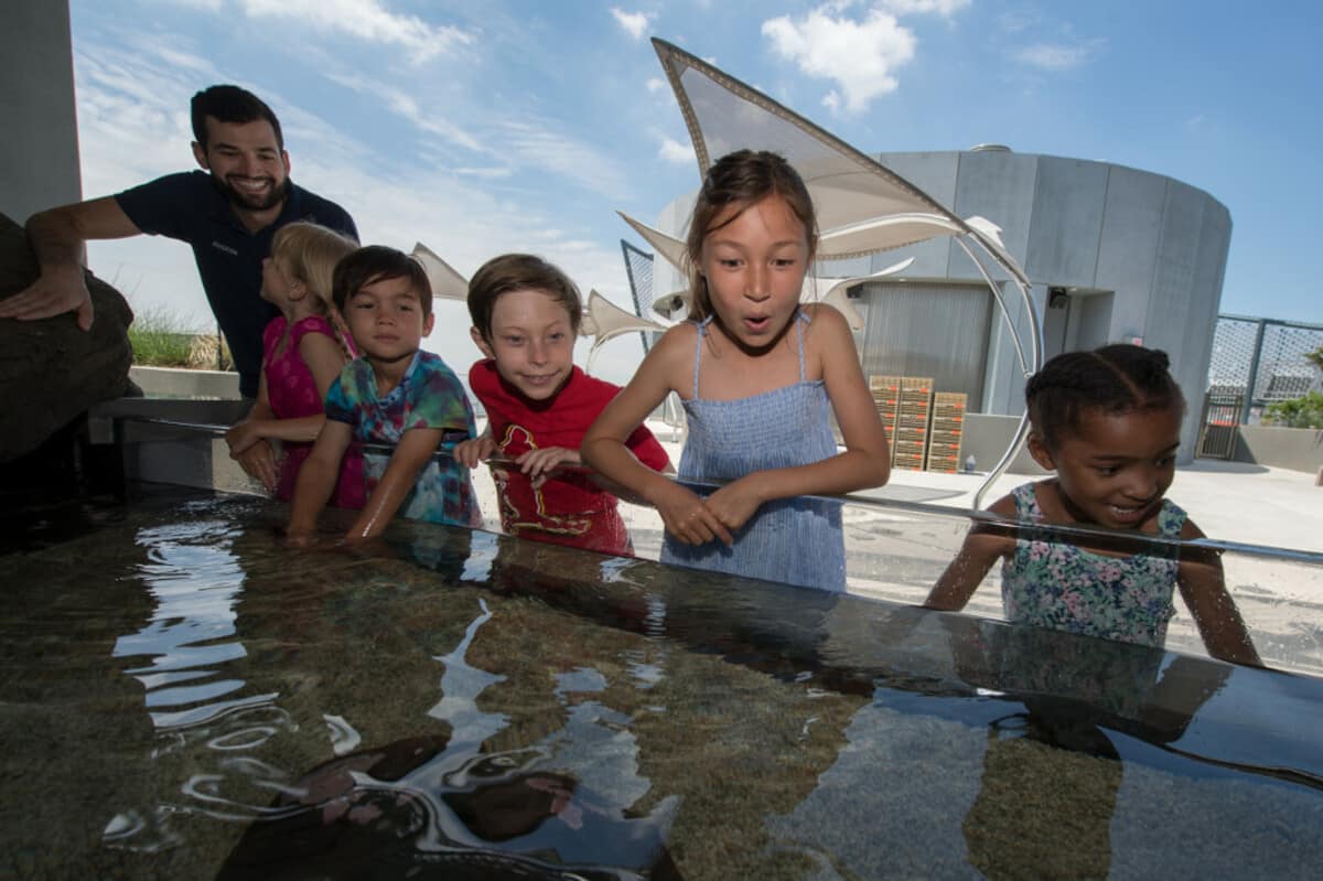 10 Best Aquariums, Zoos And Fish Shops In NYC - Secret NYC
