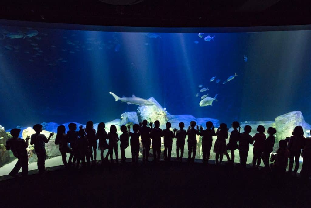 8 Best Science Museums In NYC To Explore Today