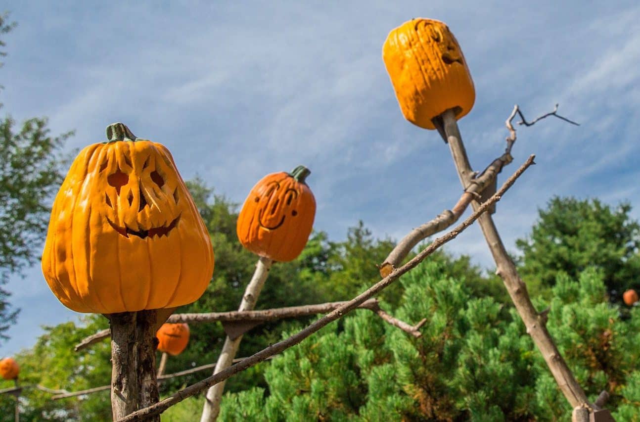 Fall-O-Ween Returns To NYBG This September