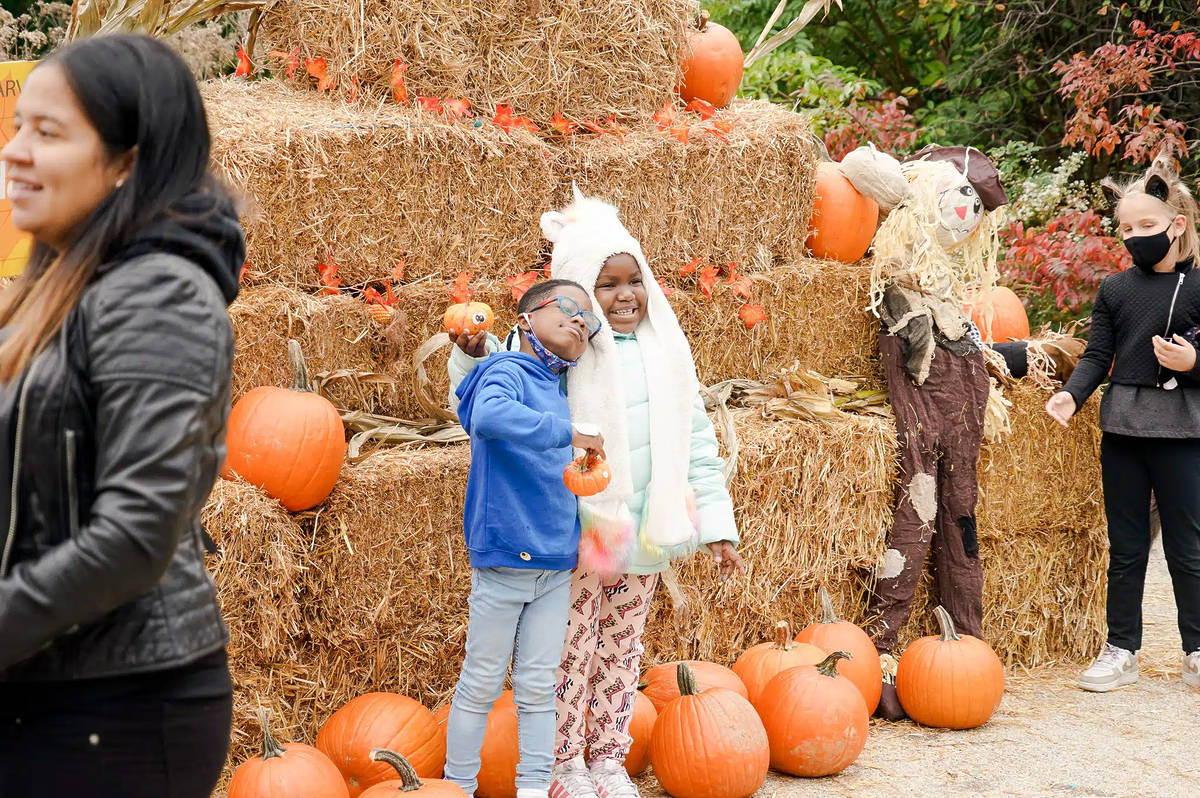 I migliori festival autunnali in arrivo a New York: Festeggiate il ...