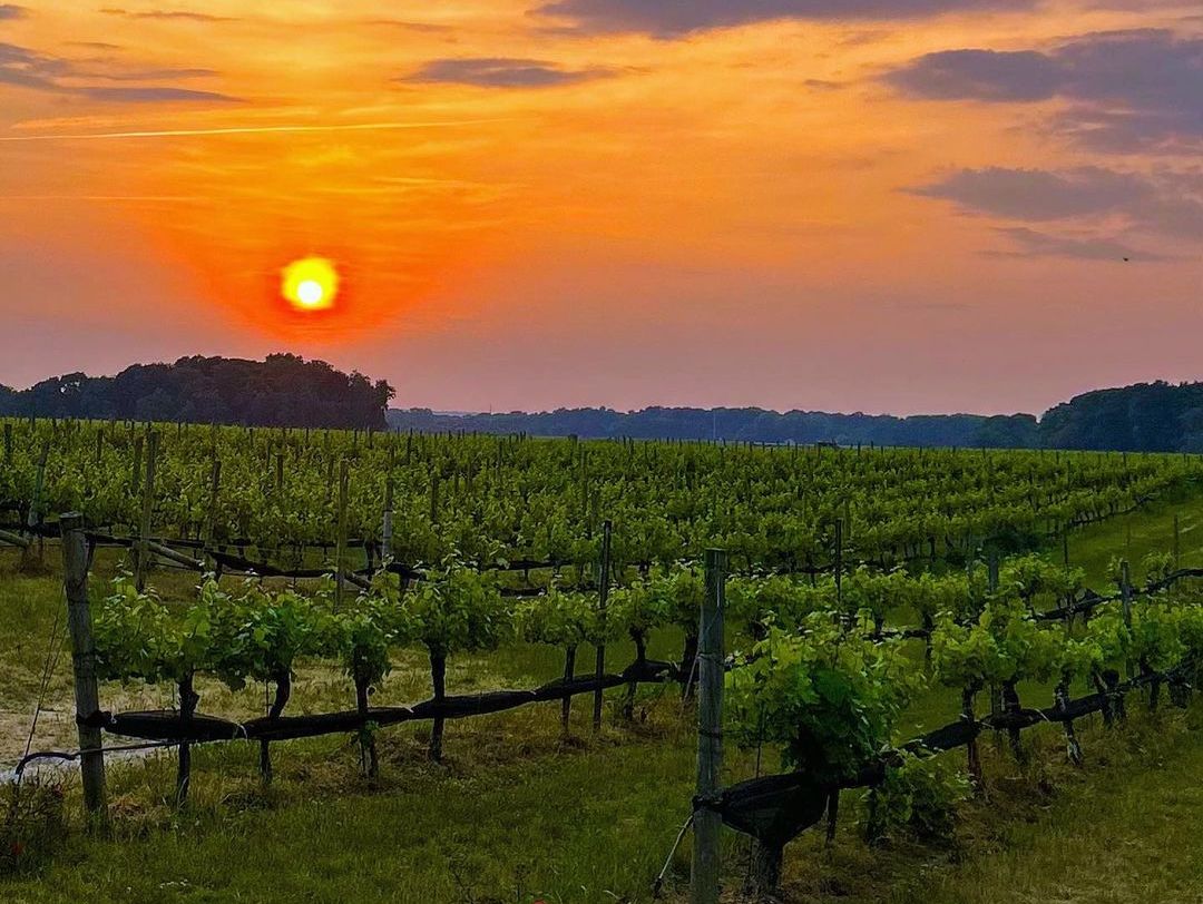 10 Best Wineries & Vineyards On Long Island, NY - Secret NYC