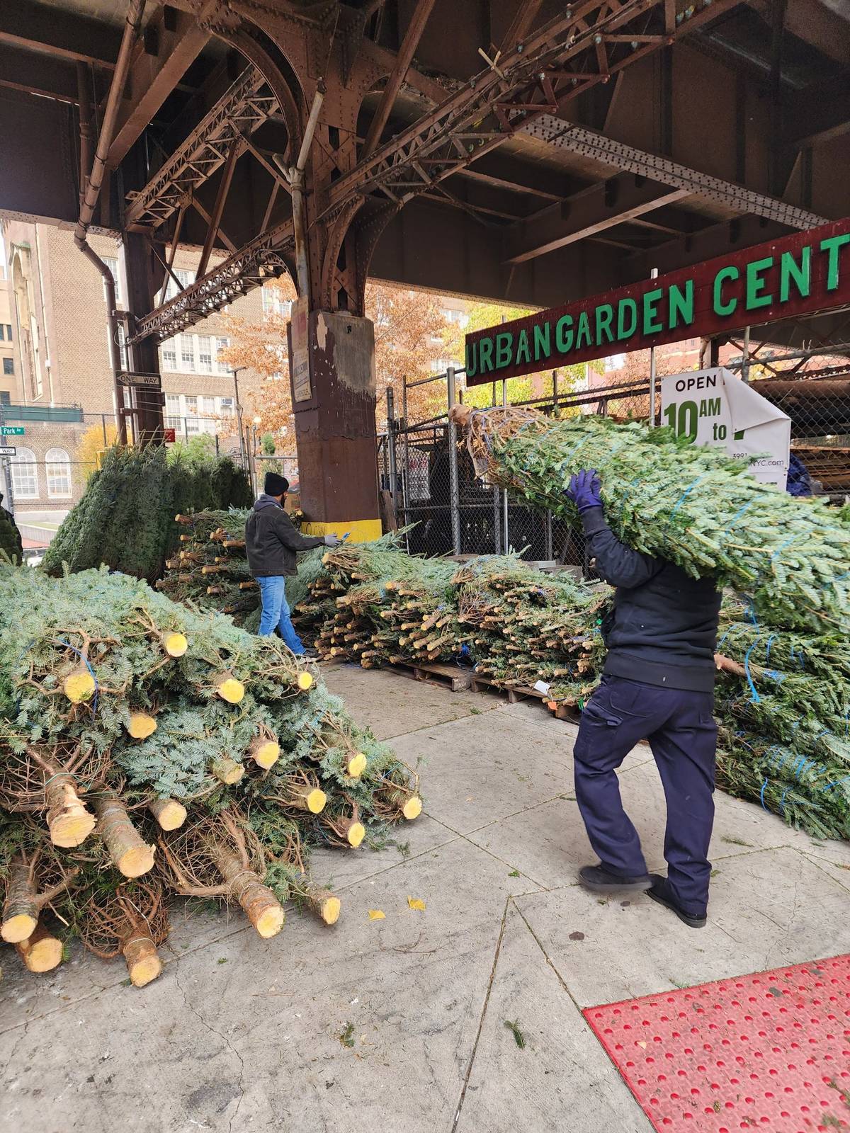 Where To Buy A Christmas Tree In NYC (2025)
