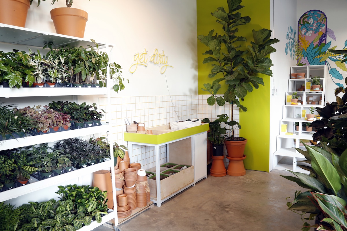 Horti PLAY Is Now Brooklyn's Largest Indoor Plant Store