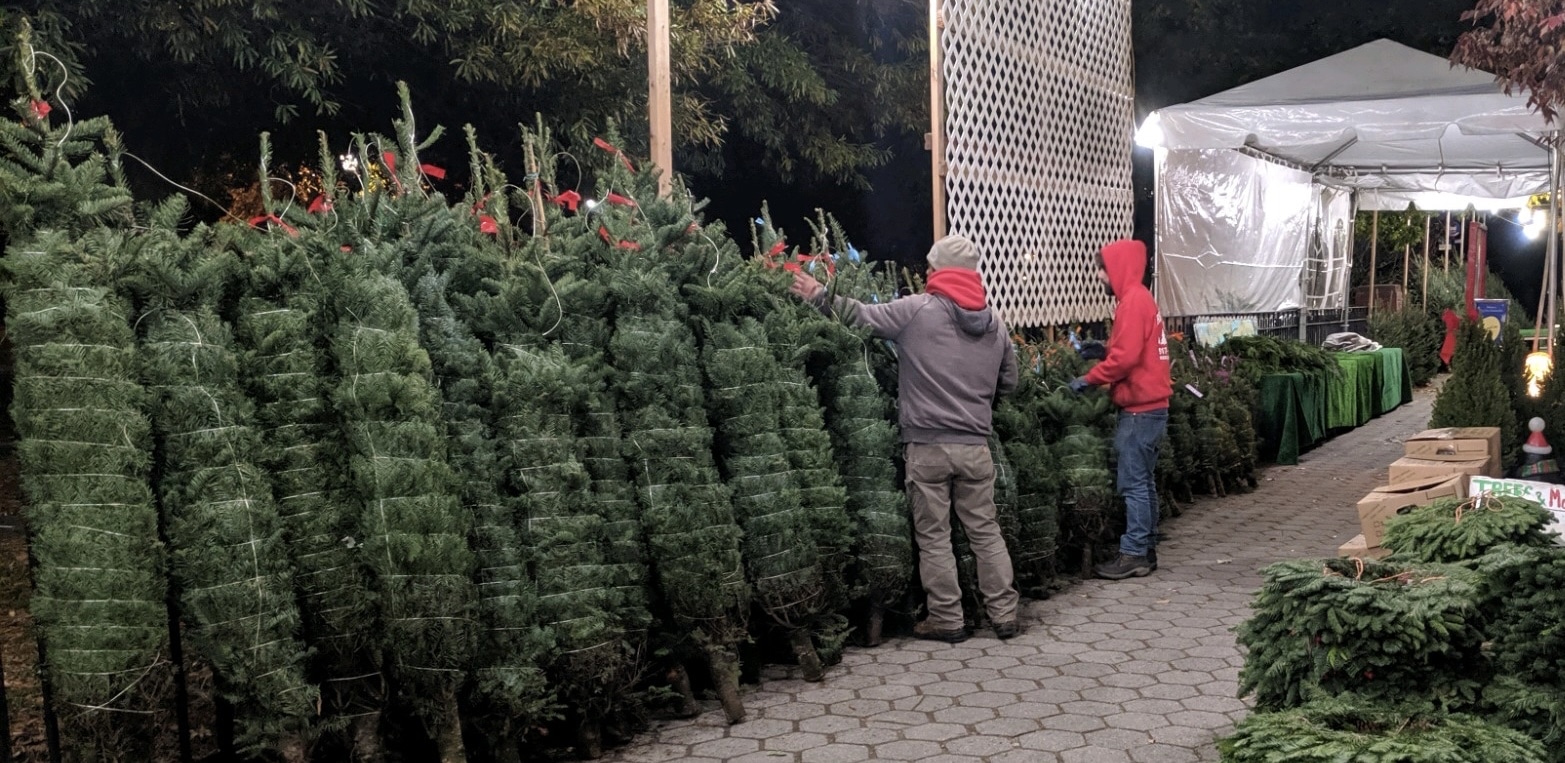 Here's Where To Buy A Christmas Tree In NYC - Secret NYC