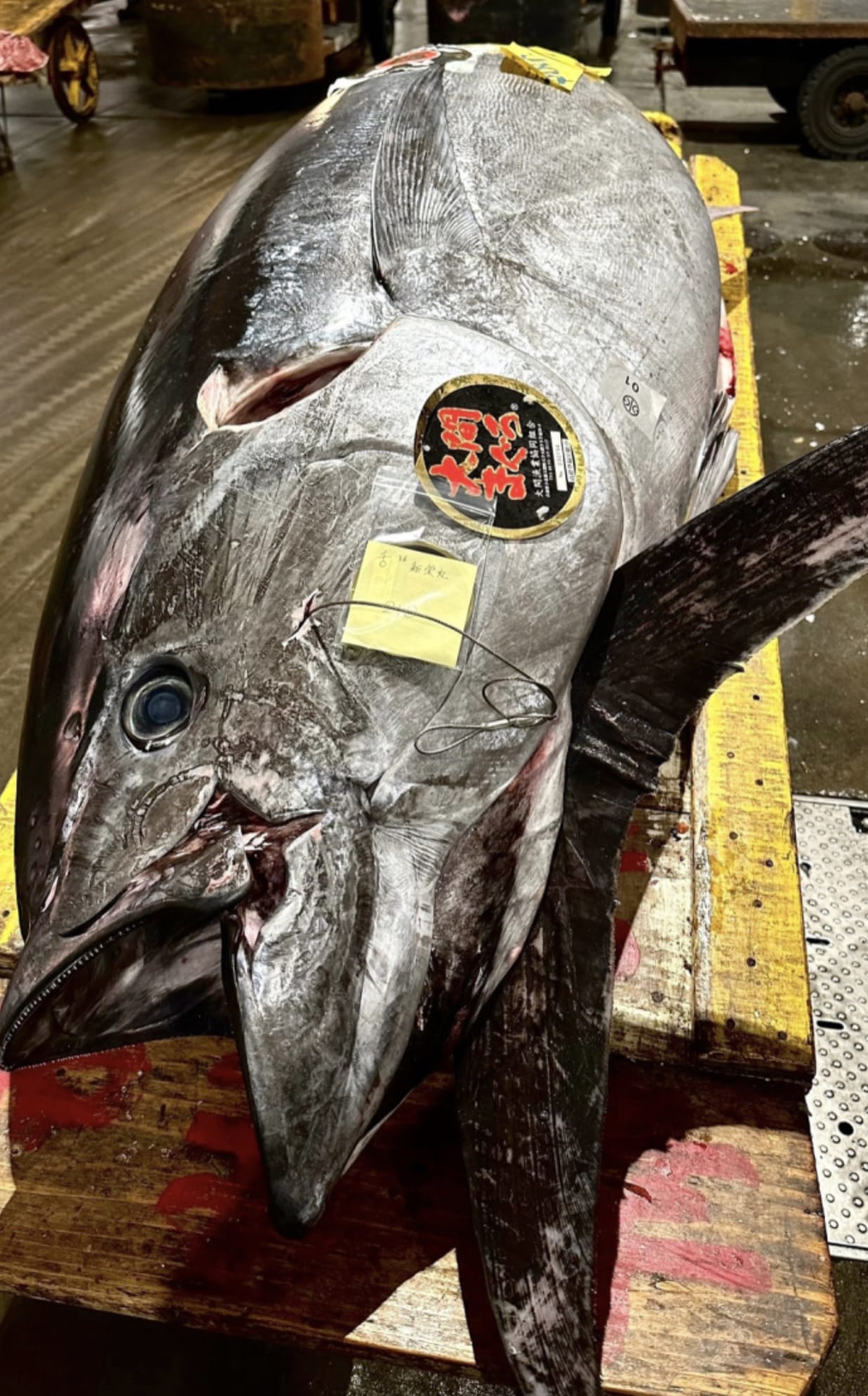 Get A Bite Of This Lucky $270,000 Tuna At NYC’s Onodera