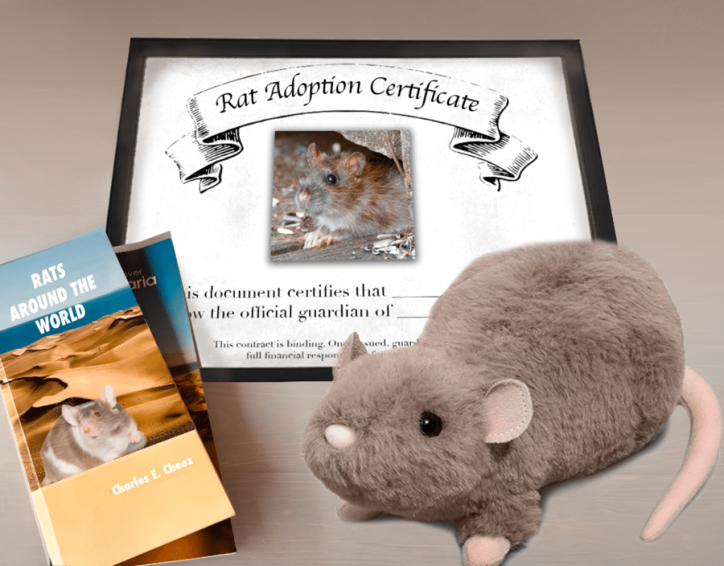 NYC Department Of Rodents Announces 'Adopt A Rat' Program