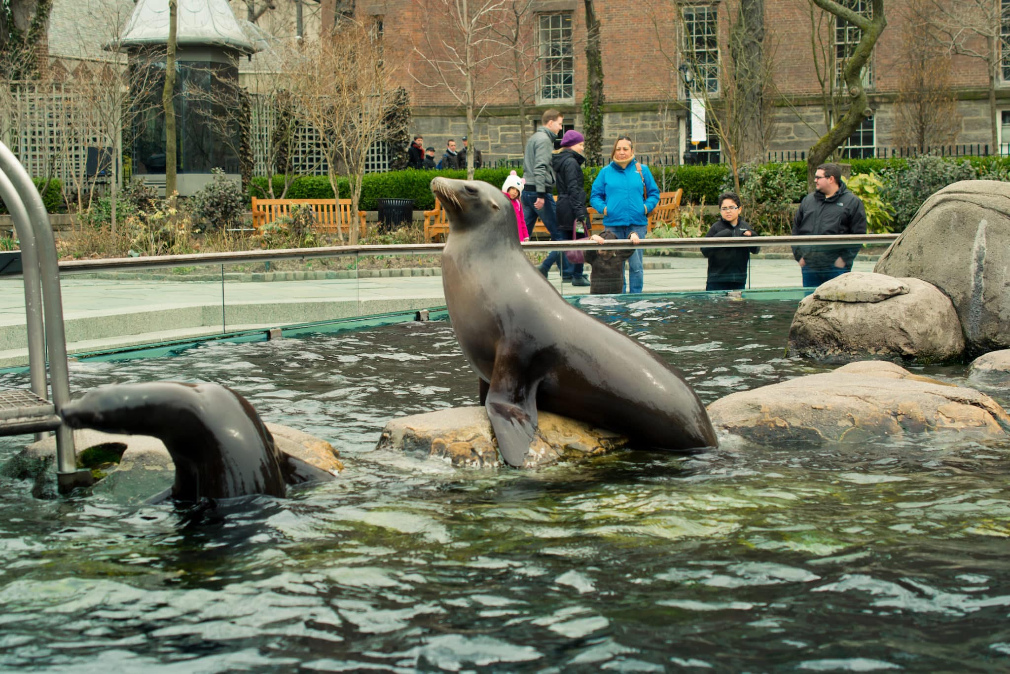 7 Must-Hit Zoos In NYC For A Day Of Fun - Secret NYC