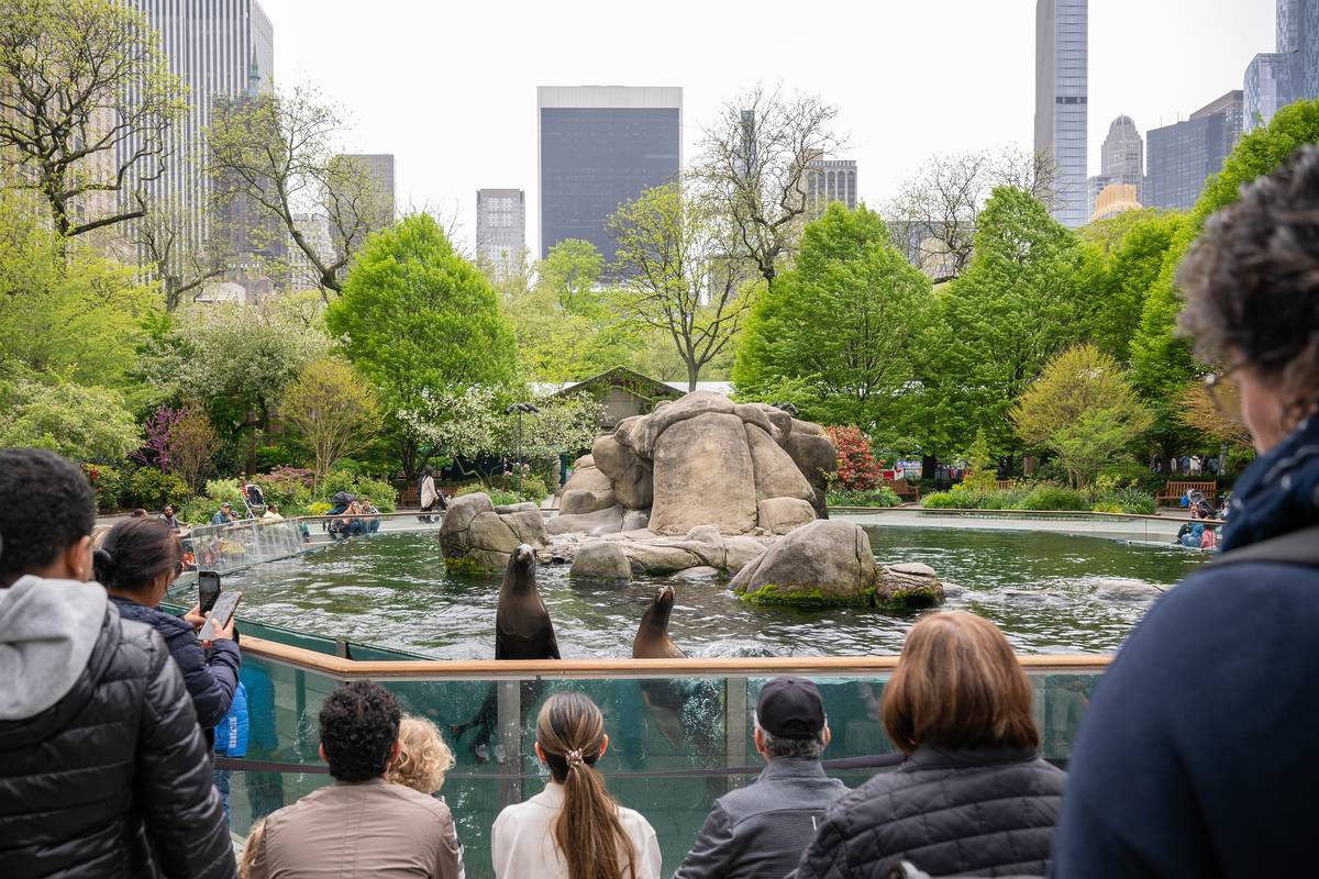 7 Must-Hit Zoos In NYC For A Day Of Fun - Secret NYC