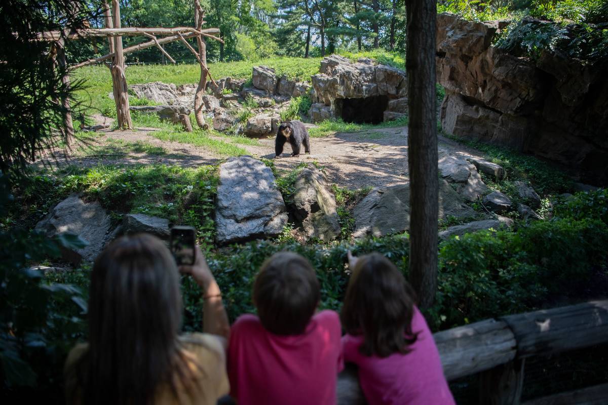 7 Must-Hit Zoos In NYC For A Day Of Fun - Secret NYC