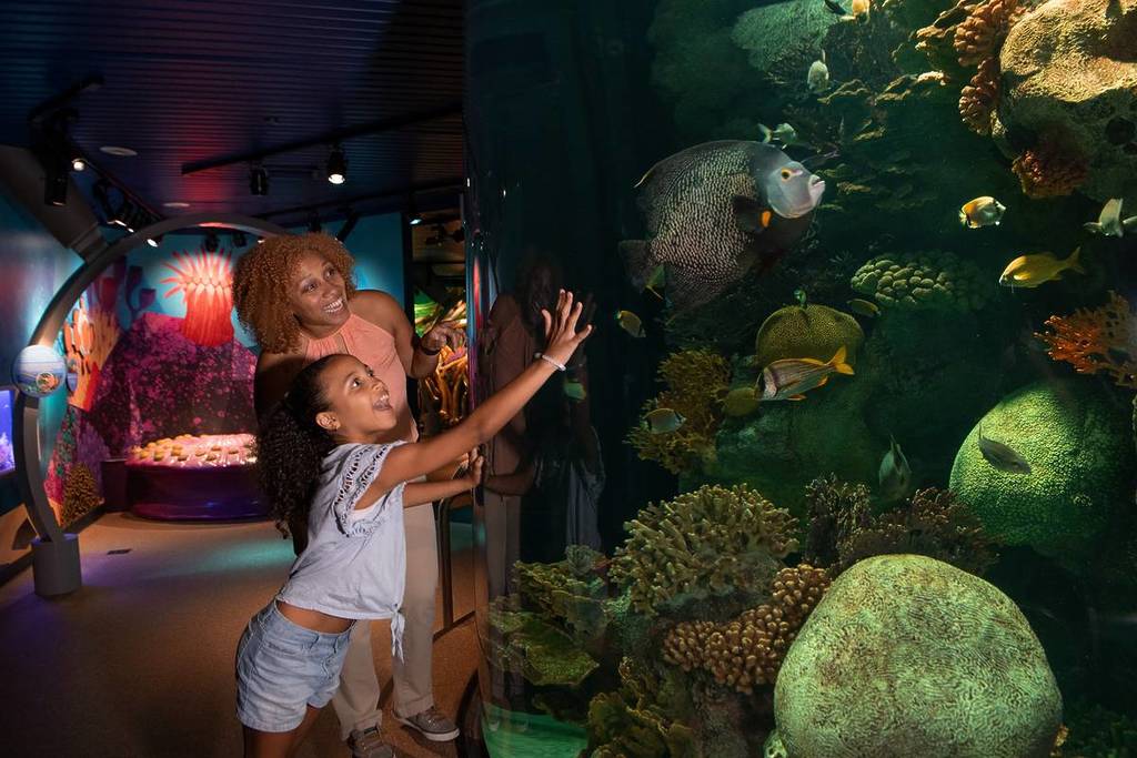 7 Must-Hit Zoos In NYC For A Day Of Fun - Secret NYC