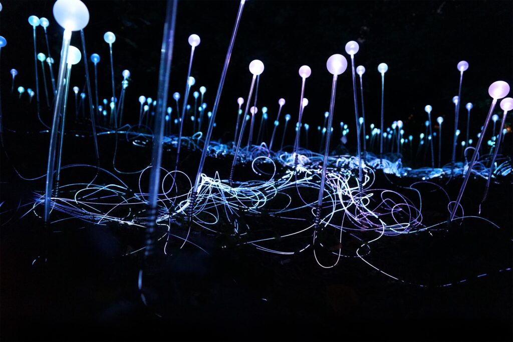 'Field Of Light' Will Turn NYC Into A Dreamlike Landscape