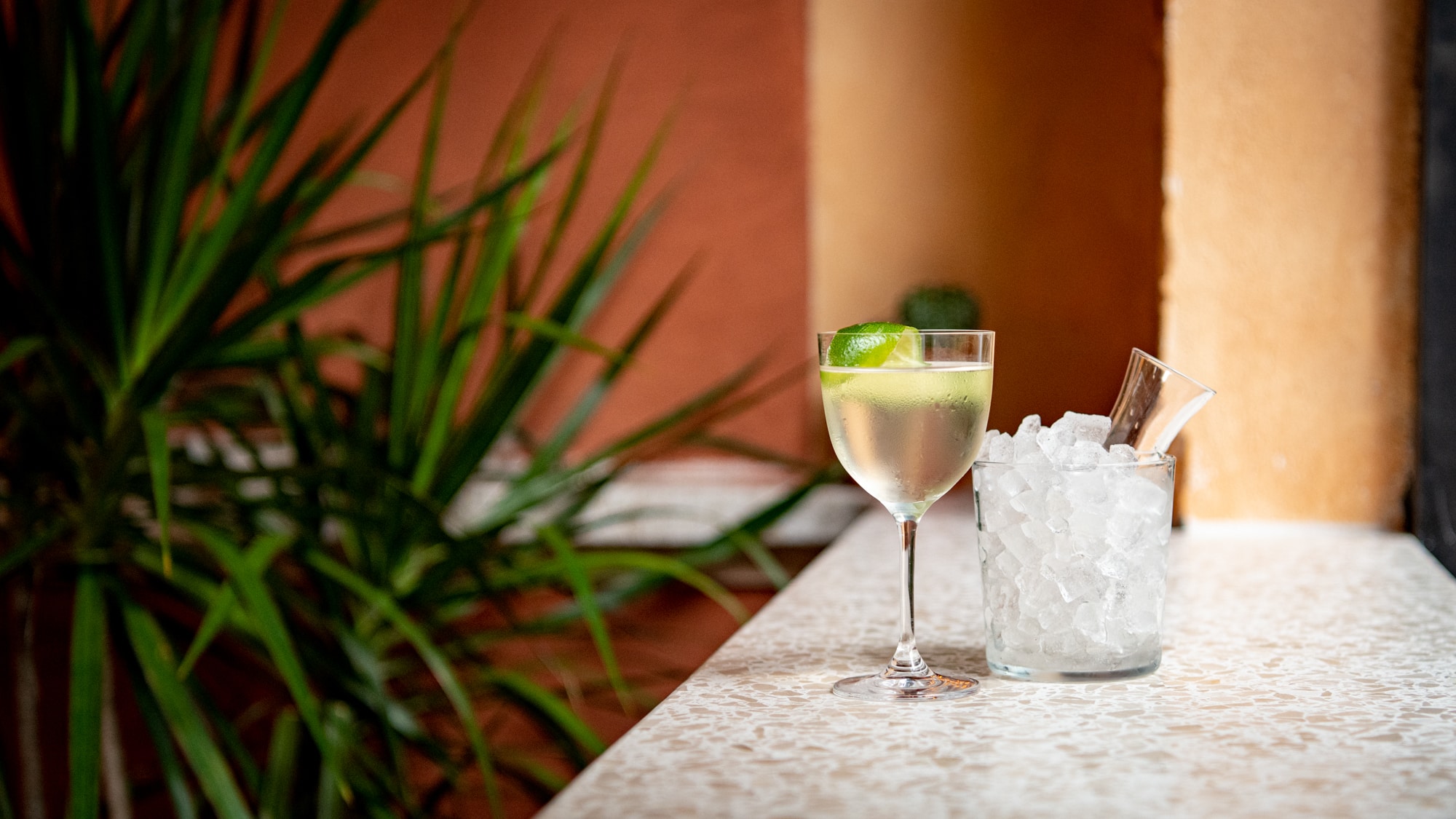 Donna Reopens As A Worker-Owned Restaurant & Cocktail Bar