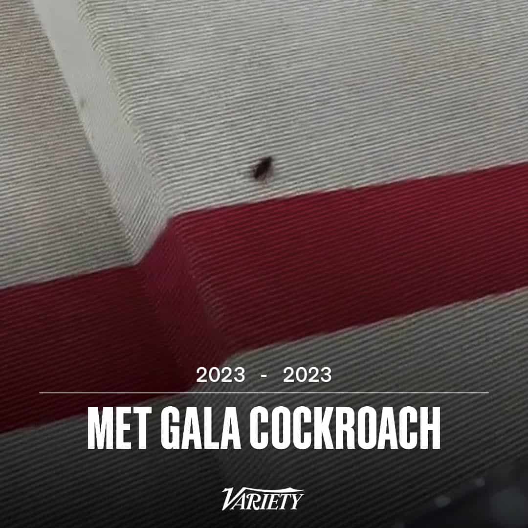 This Year’s Met Gala Star Was An Actual Cockroach