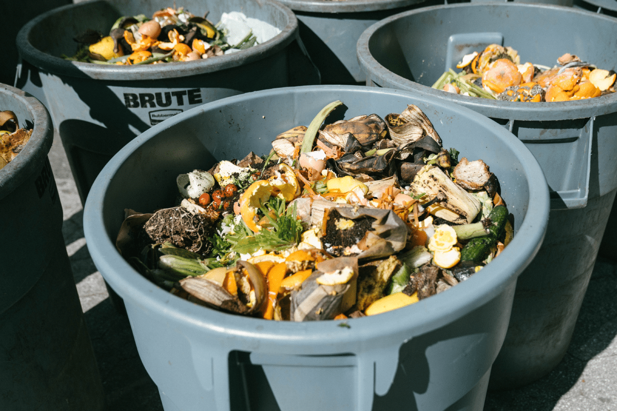 Composting Will Be Required In NYC By 2024