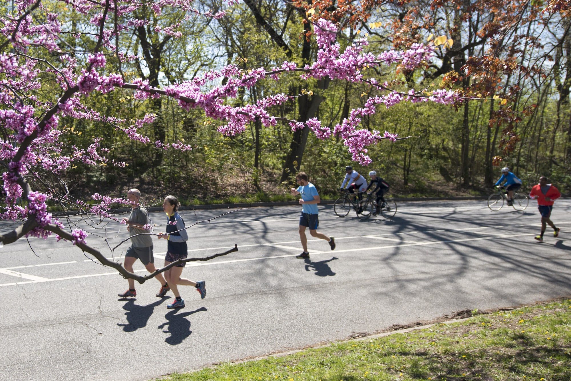10 Best Running Routes In NYC To Do This Summer