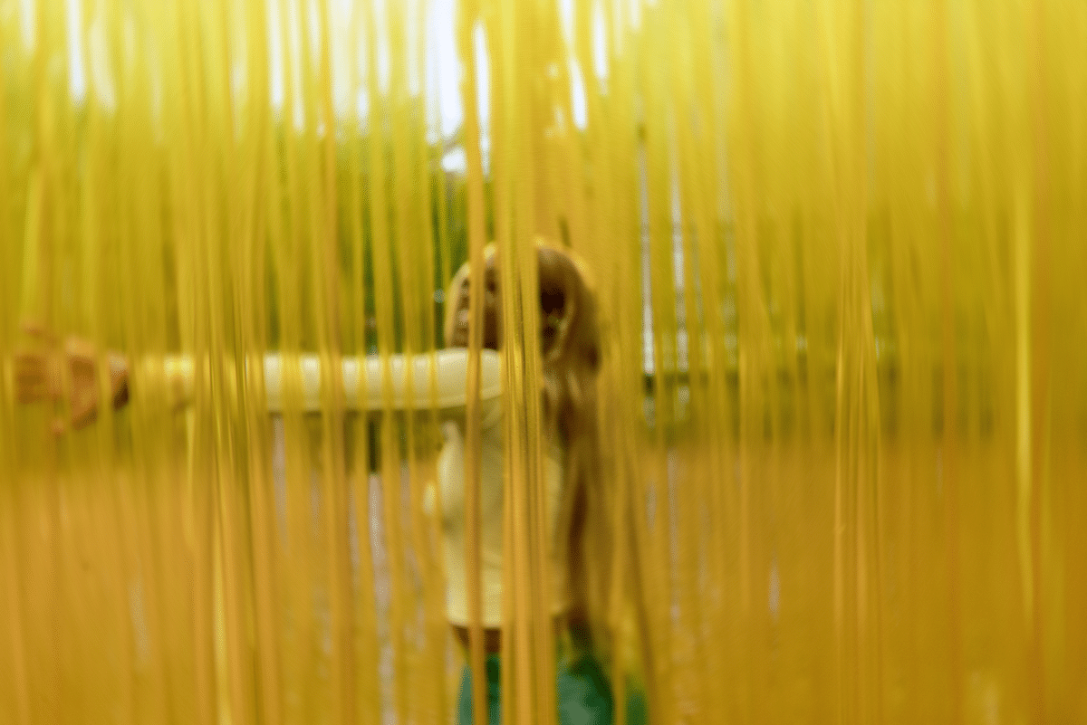 Penetrable Is Inviting NYers To Roam Through It This Summer