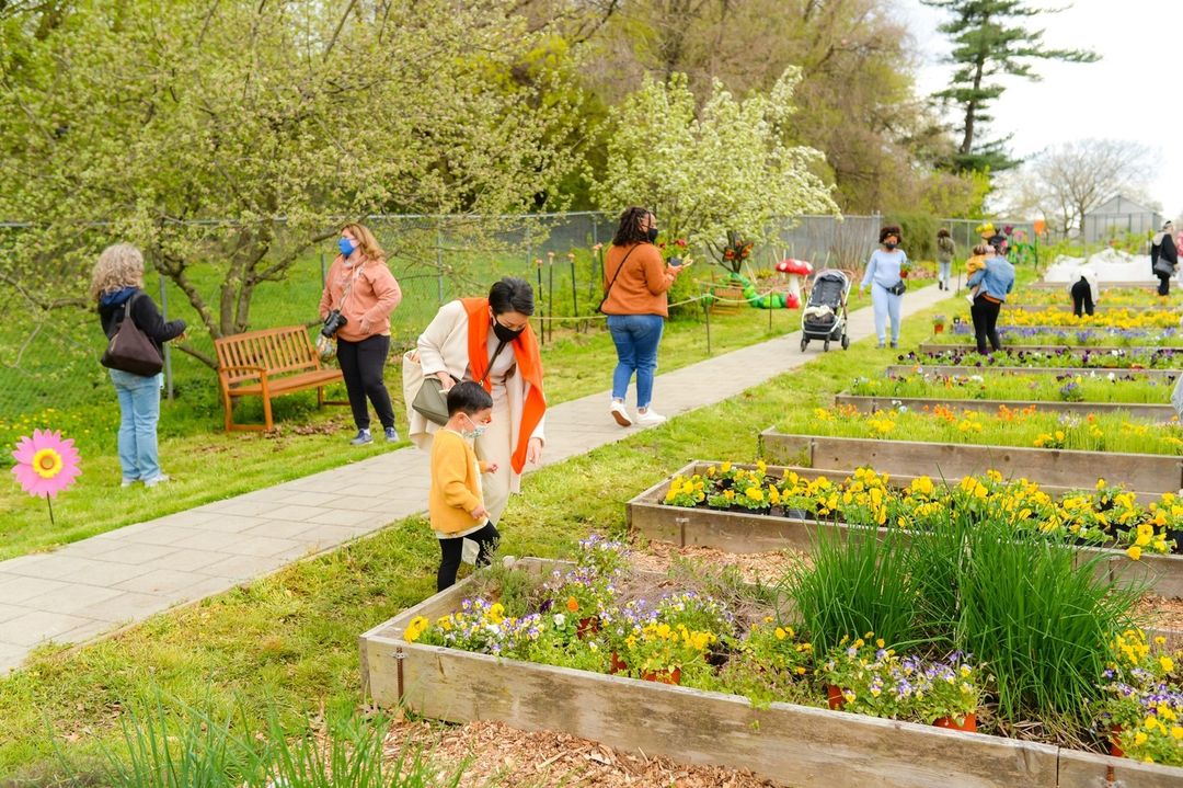 18 Fabulous Things To Do In Flushing, Queens