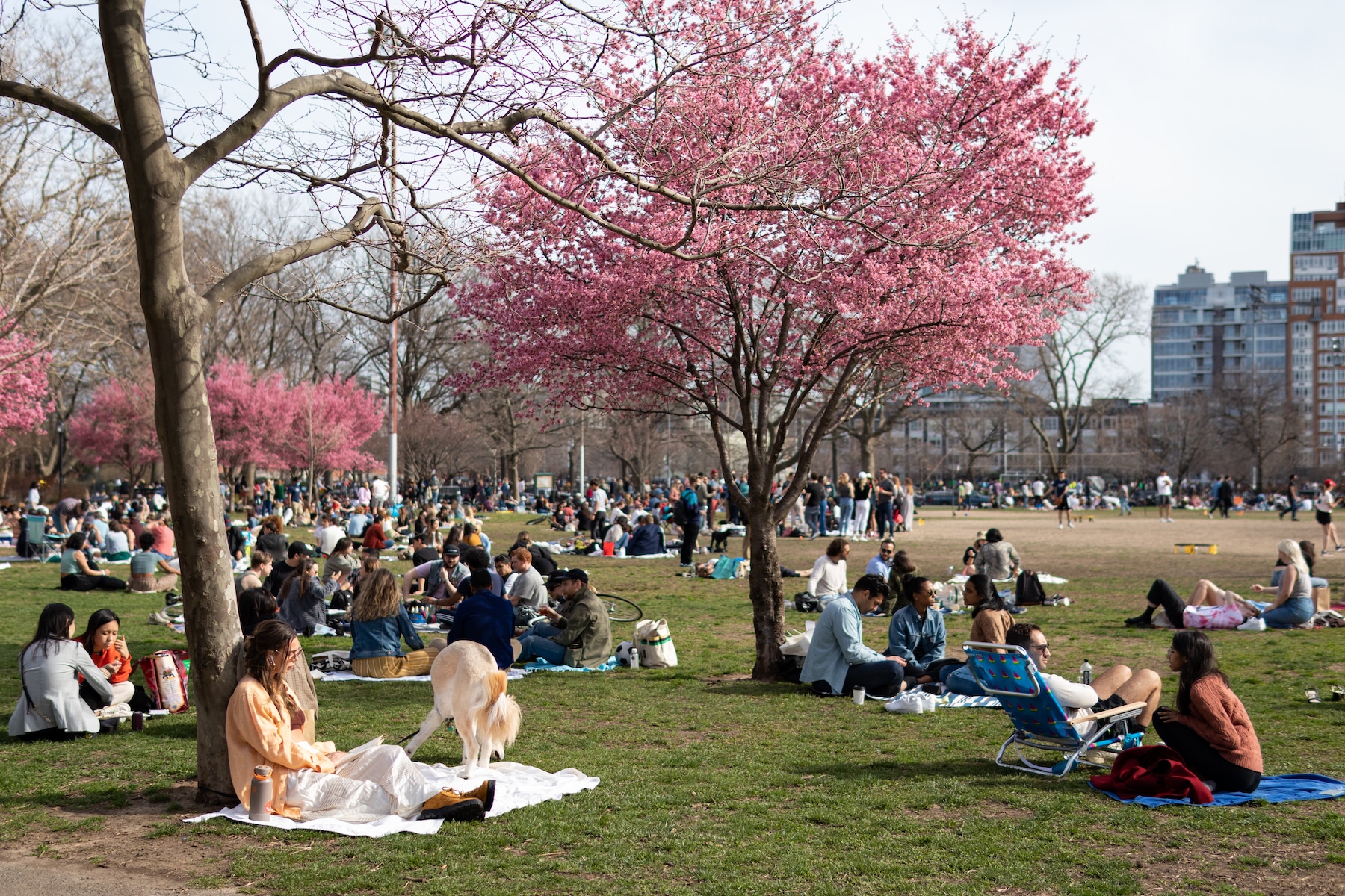 15 Best Parks In NYC To Visit (2023) - Secret NYC