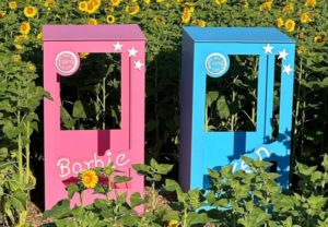 Find Your Way Out Of This 10-Acre Barbie-Themed Corn Maze