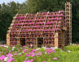 Find Your Way Out Of This 10-Acre Barbie-Themed Corn Maze