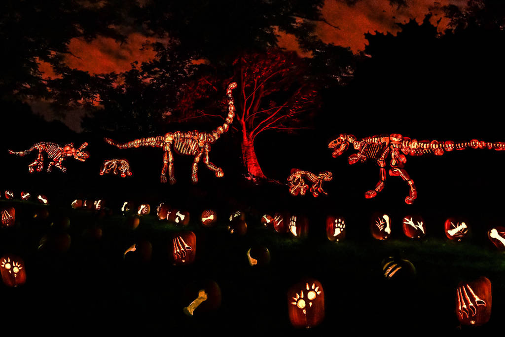 Over 6,000 Hand-Carved Pumpkins Are Here In NY This Fall