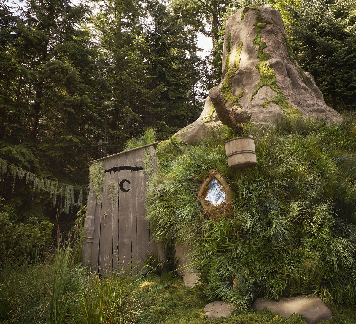 You Can Now Book A Stay At Shrek's Swamp On Airbnb