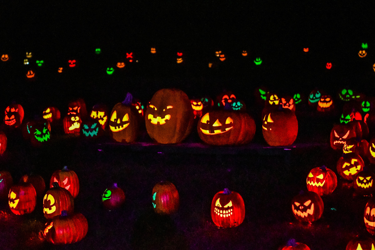Take A Trip To This Festive Pumpkin Wonderland Before It Closes