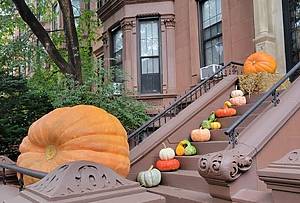 This Park Slope Pumpkin Weighs Nearly 1,000 Pounds