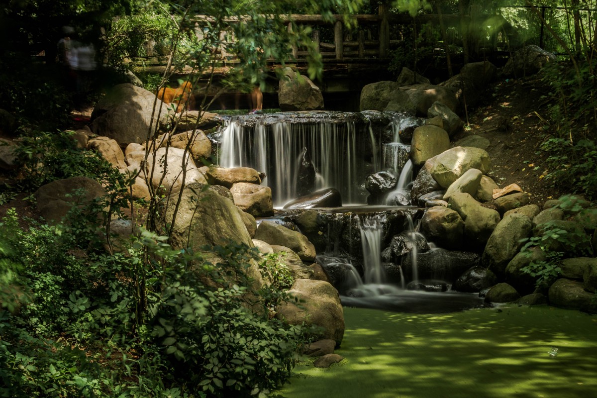 Fallkill Trail Is Now Open In Prospect Park - Secret NYC