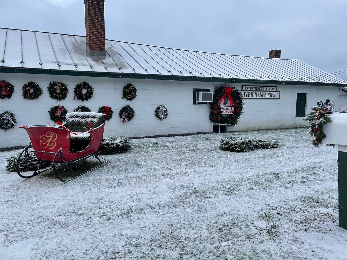 10 Best Christmas Tree Farms Near NYC (2025)