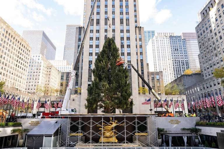 10 Fun Facts About The Rockefeller Center Christmas Tree