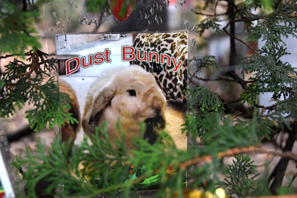 The Pet Memorial Christmas Tree Lets You Honor Your Late Pet
