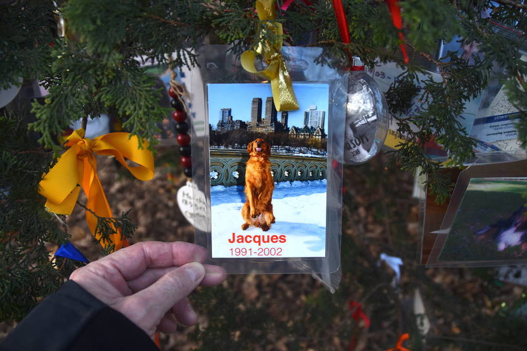 The Pet Memorial Christmas Tree Lets You Honor Your Late Pet