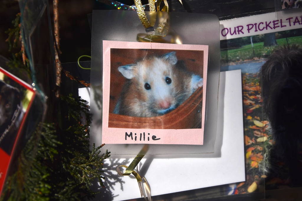 The Pet Memorial Christmas Tree Lets You Honor Your Late Pet