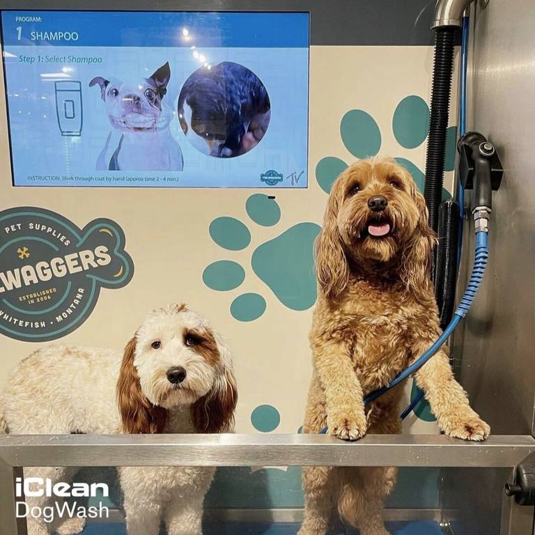 Clean Your Pup At This New Dog Wash Vending Machine