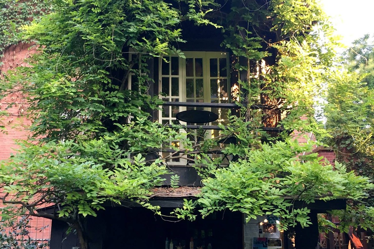 There's A Secret Treehouse Open To The Public In Manhattan