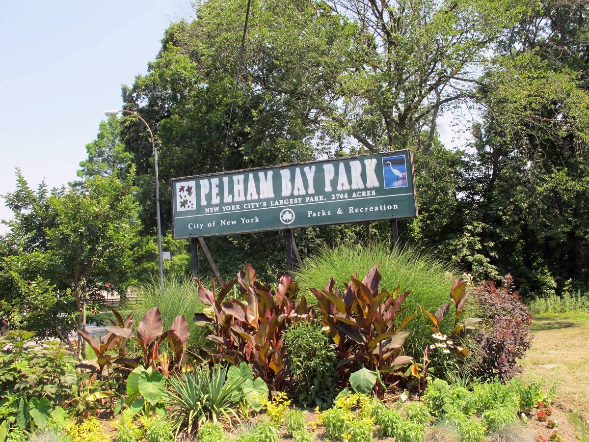 10 Best Things To Do In The Bronx, New York