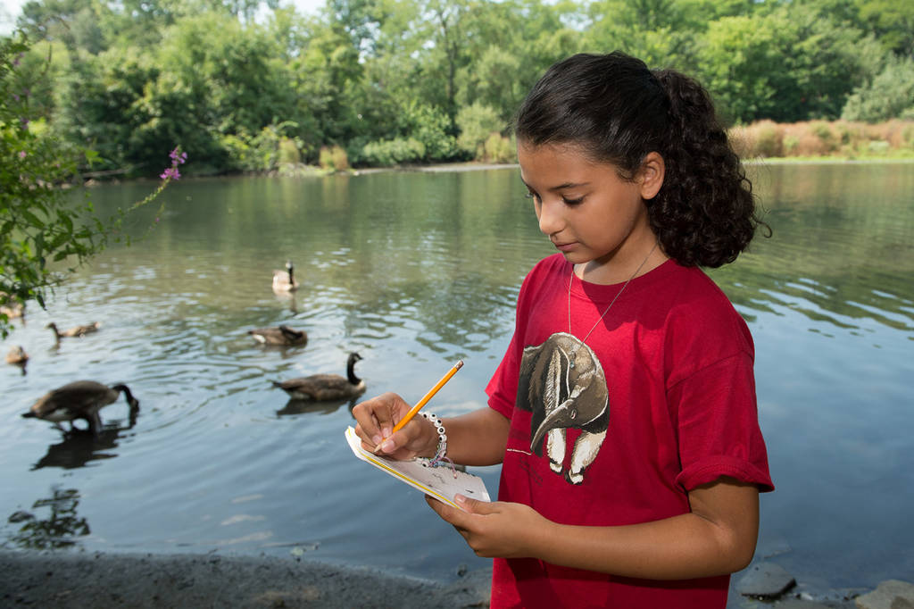 The Best Summer Camps In NYC For Kids (Summer 2025)