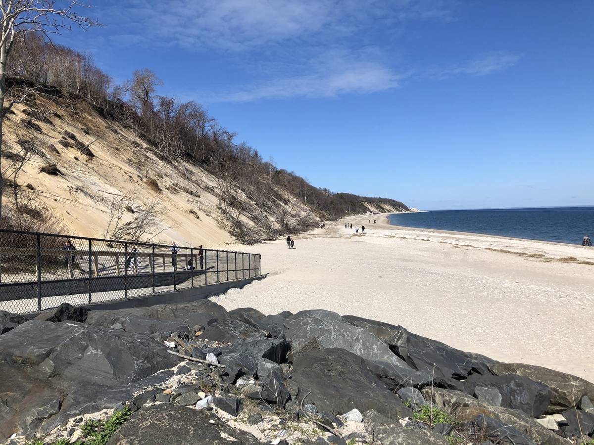 10 Best Dog-Friendly Beaches Near NYC To Visit This Summer