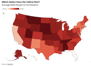 If You're Looking For A Tall Man, Move Out Of NYC