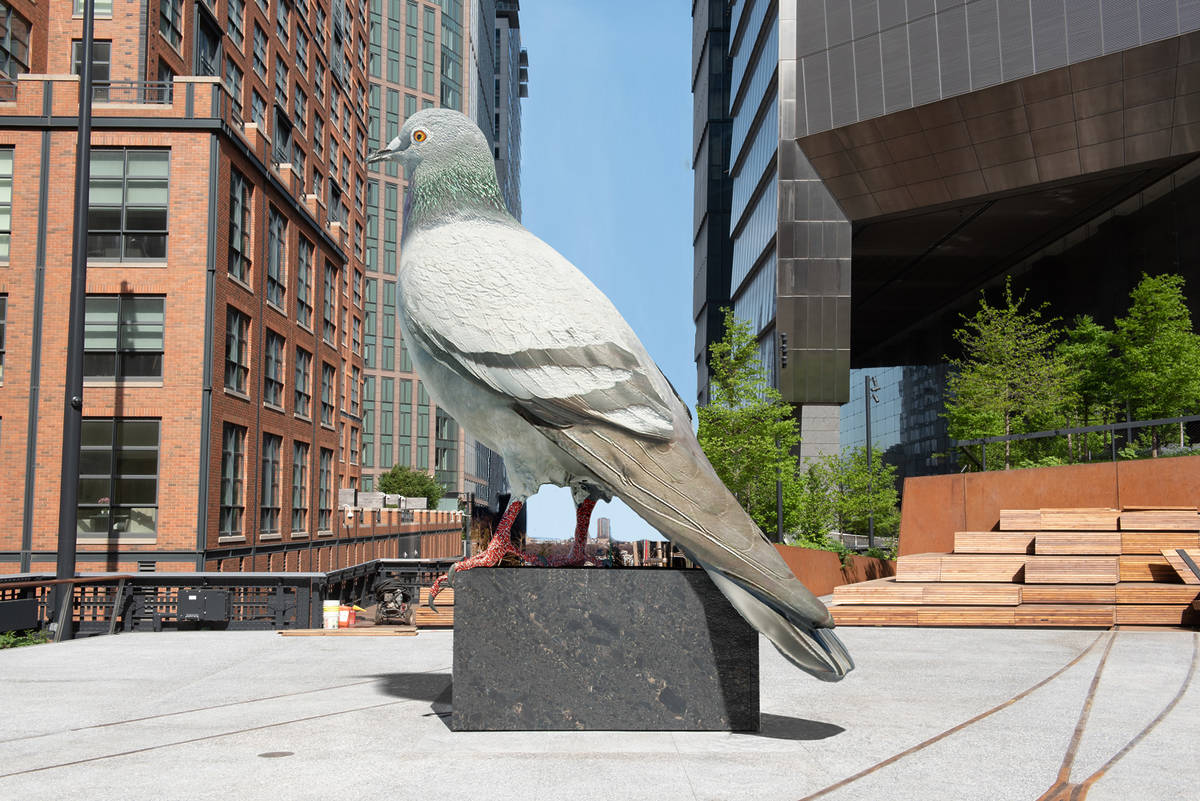 Une Sculpture Colossale De Pigeon A été Installée Sur La High Line