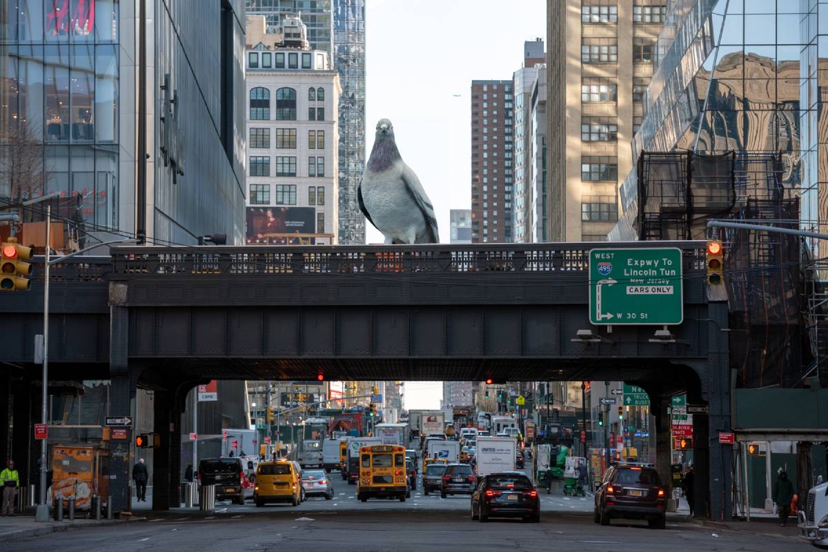 A Petition Has Been Created To Make NYC’s Viral Giant Pigeon A ...