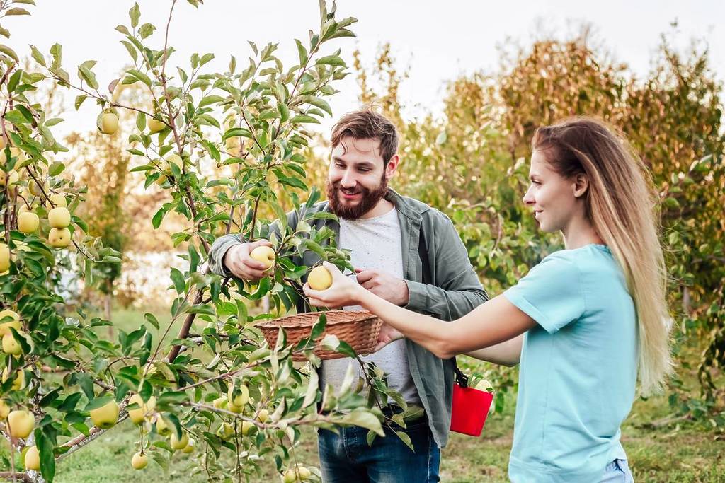 12 Best Fall Date Ideas In NYC (2025)