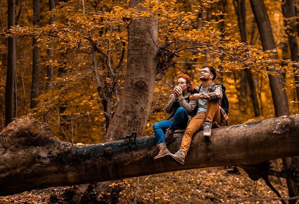 12 Best Fall Date Ideas In NYC (2025)