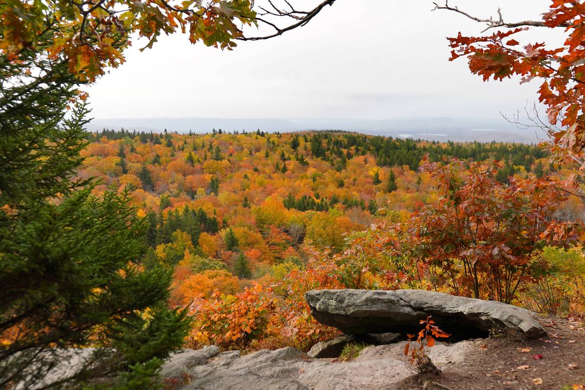 The Best Fall Getaways From NYC (Fall 2025)